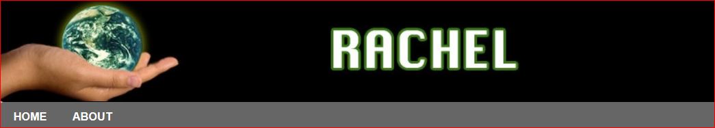 RACHEL BANNER | Literacy Beat